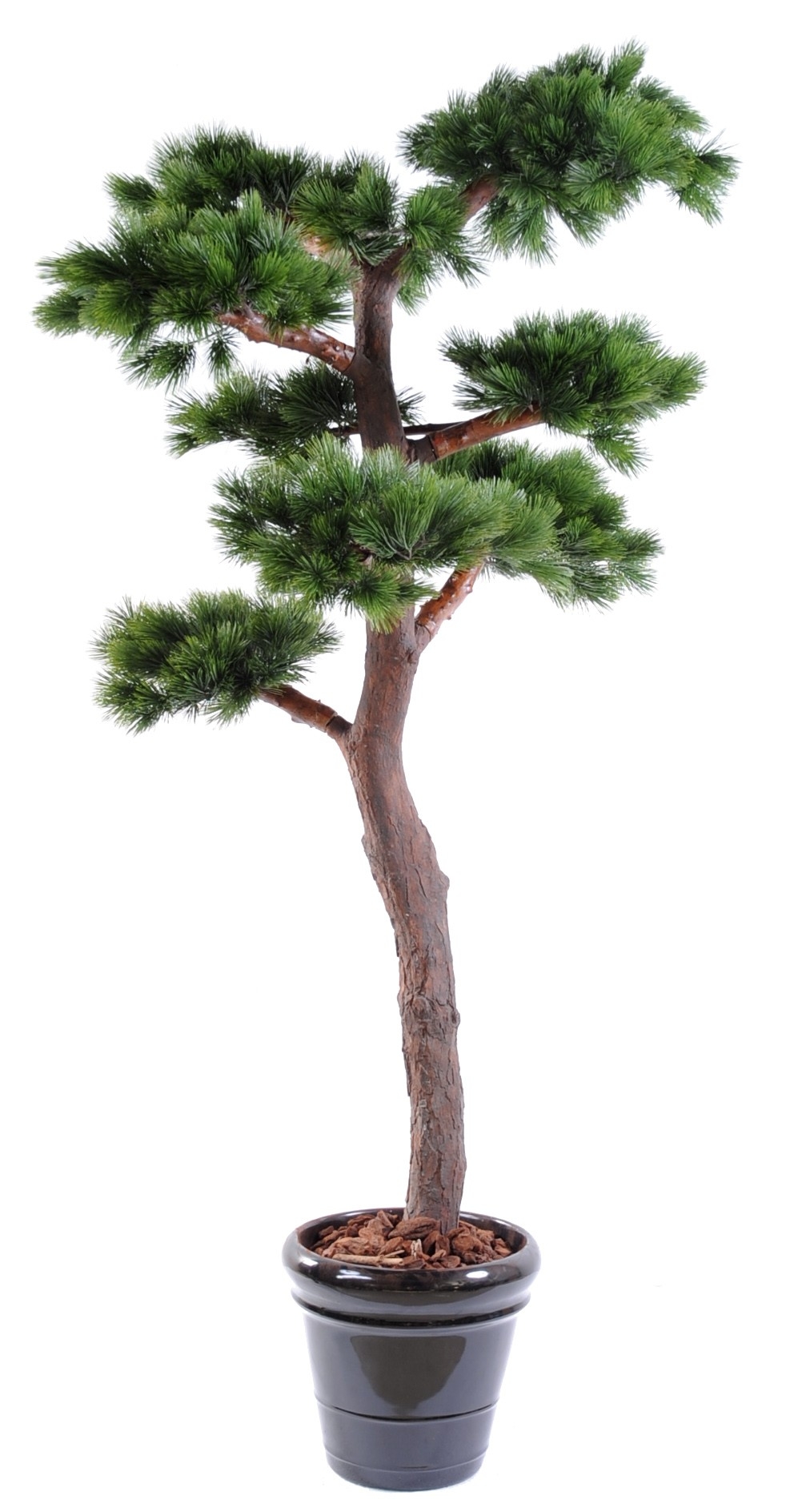 Pin Bonsai UV résistant - 505,00