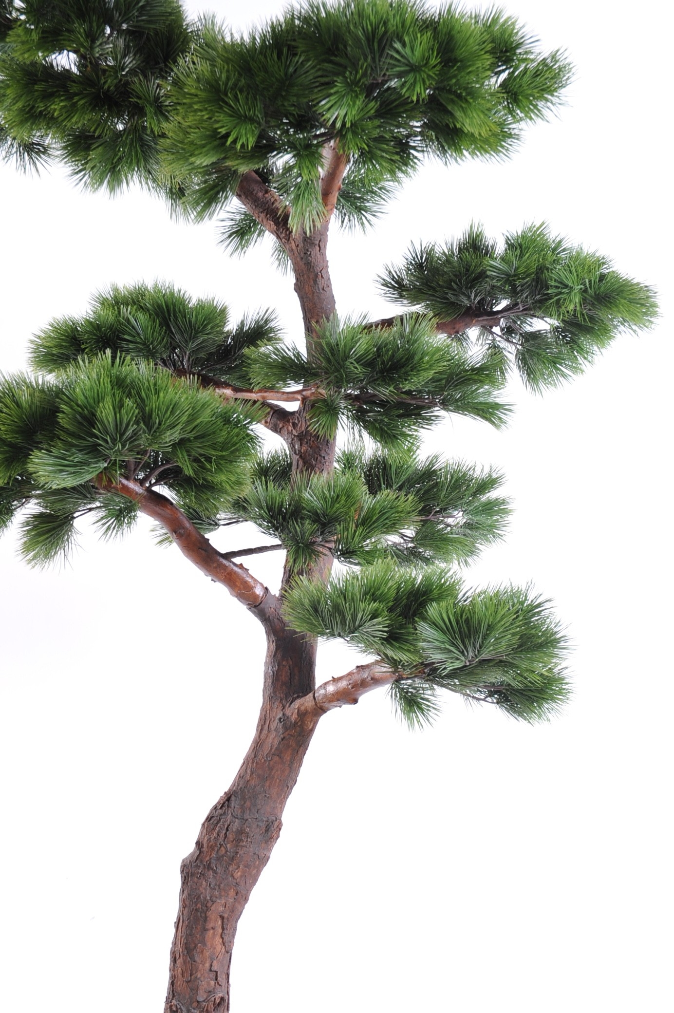 Pin Bonsai UV résistant - 505,00