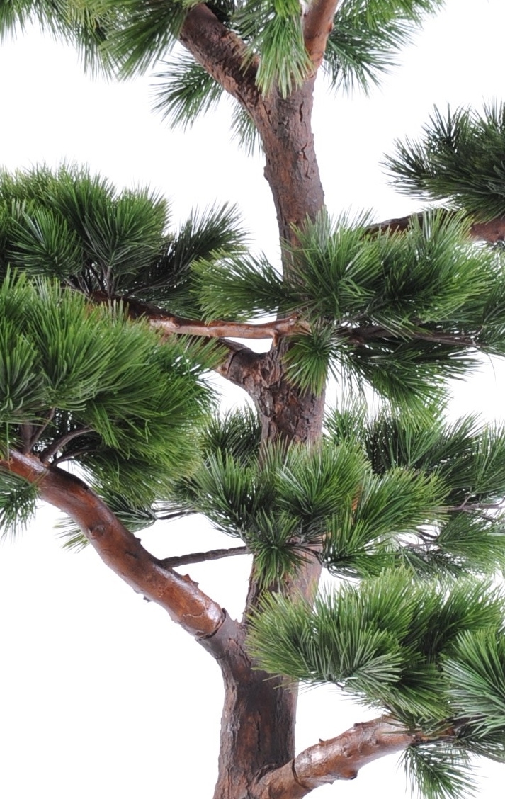 Pin Bonsai UV résistant - 505,00