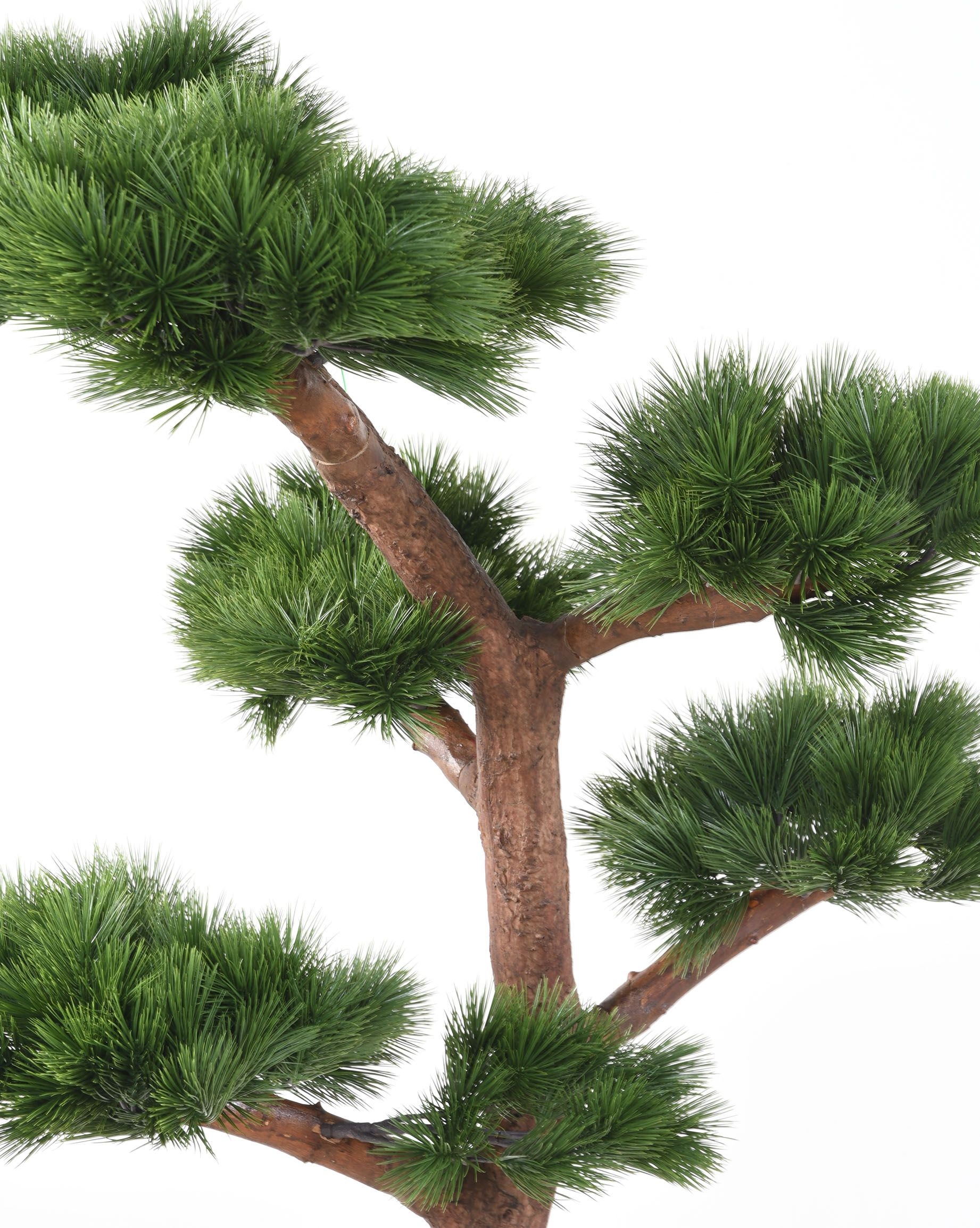 Pin Bonsai UV résistant - 505,00