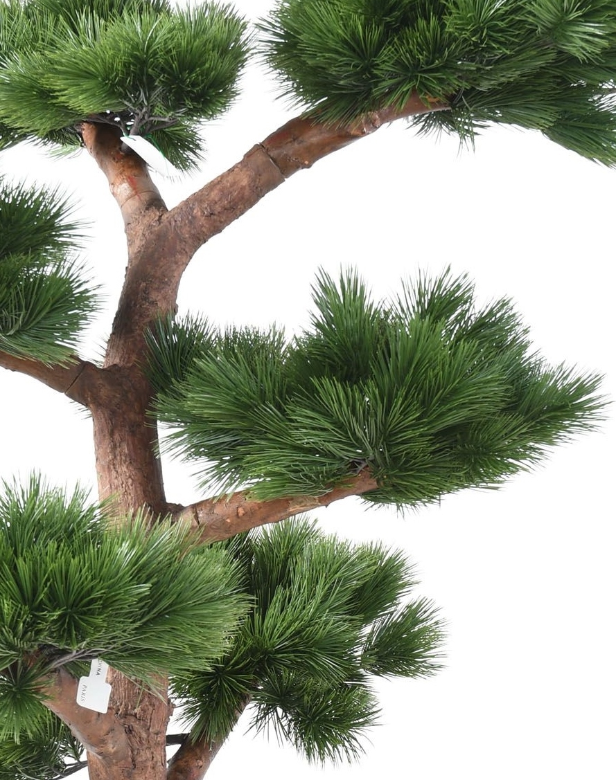 Pin Bonsai UV résistant - 505,00