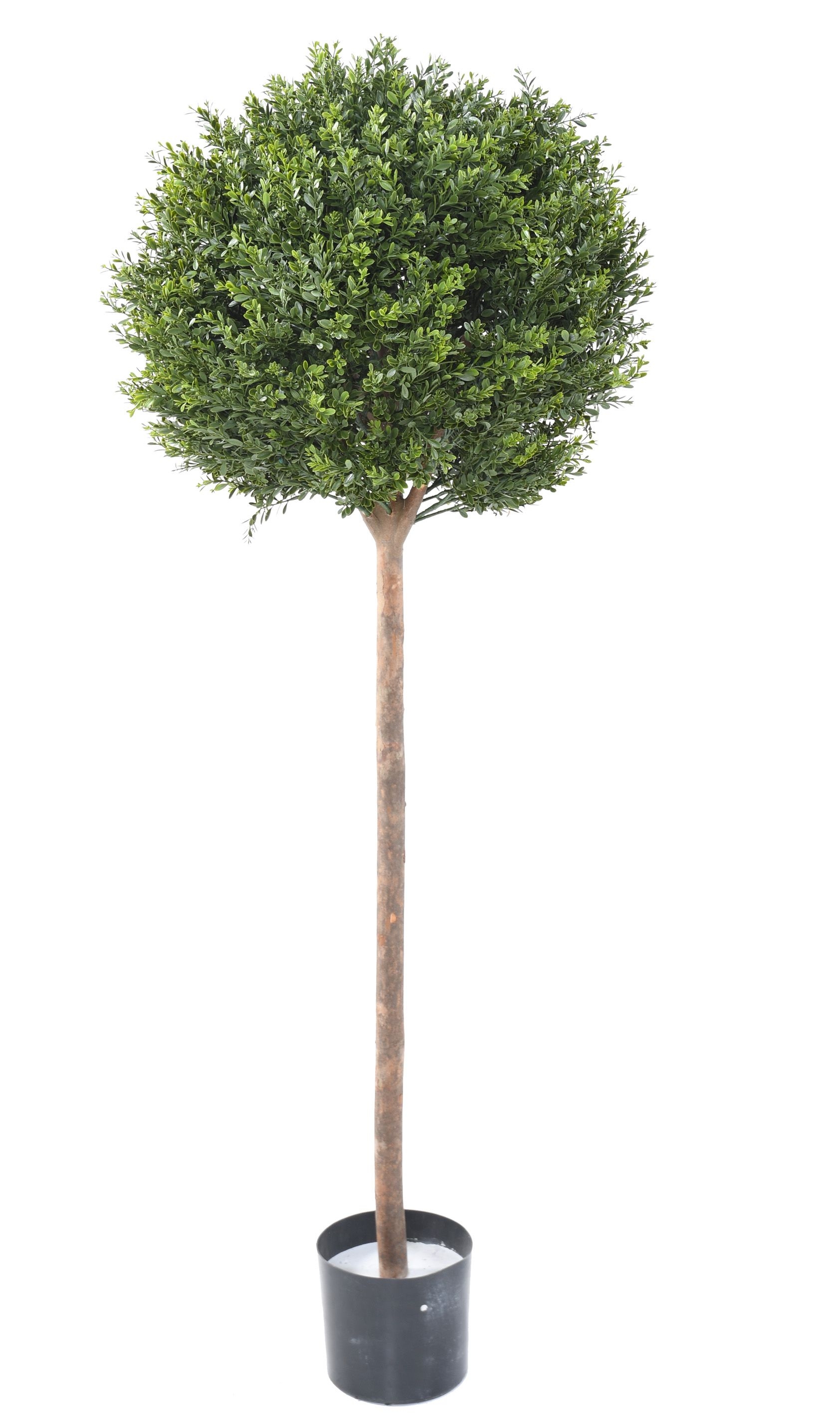 Buis artificiel tige boule "RED DAY" - 179,00