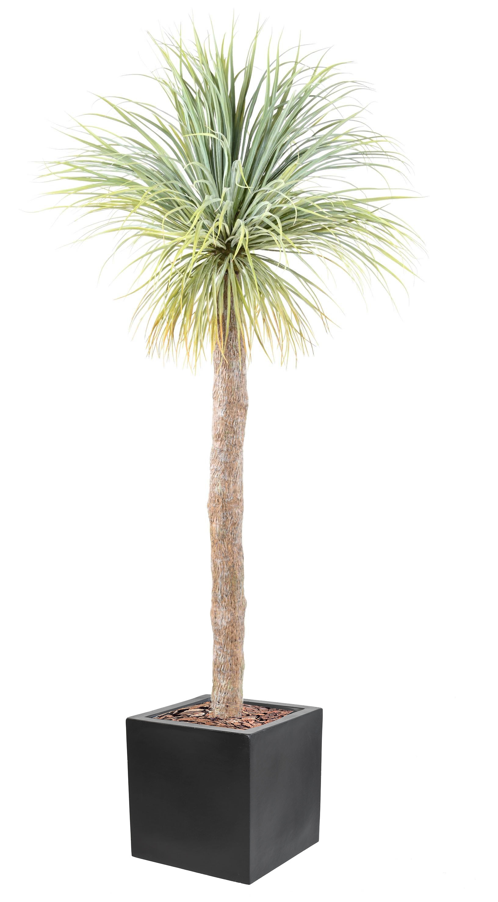 Agave Géante artificiel plus son bac carré - 489,00