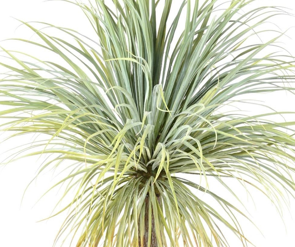 Agave géante artificiel plus son bac carré - 489,00