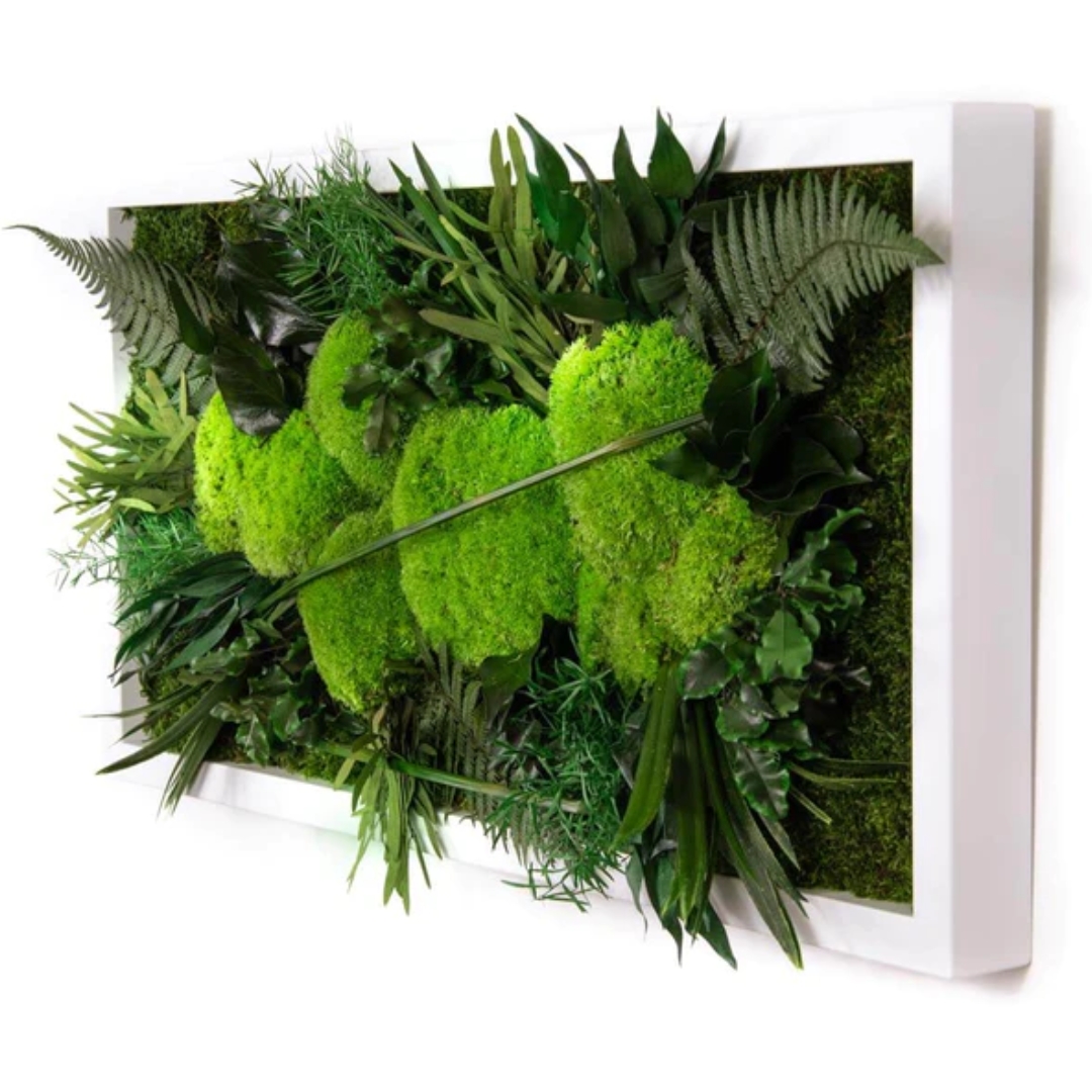 Tableau végétal stabilisé insula - 229,00